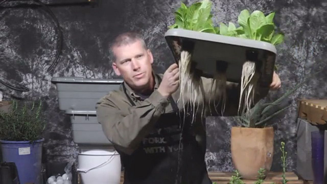 Health Ranger unveils Food Rising Mini-Farm Grow Box grow system in new ...